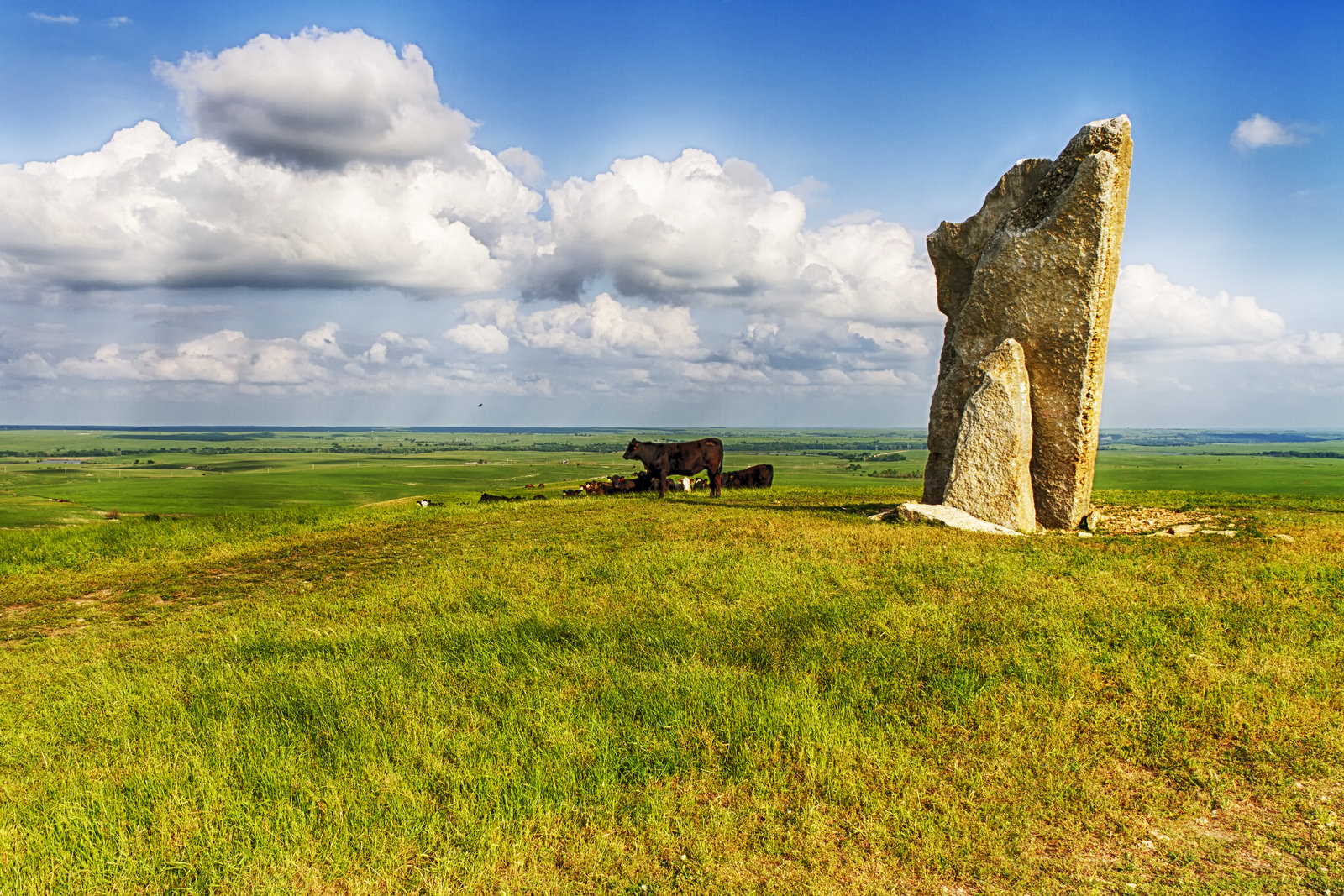 Shell Rock Flint Hills at Maryann Wylie blog