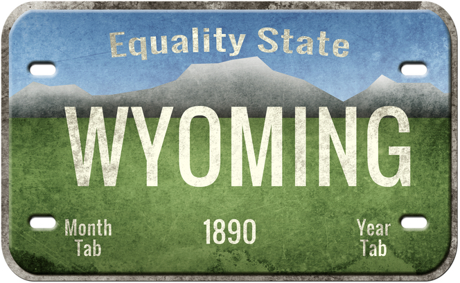 How to Buy a Personalized License Plate in Wyoming | YourMechanic Advice